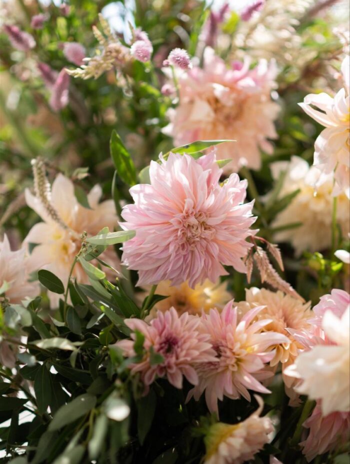 Workshops – Semia Floral